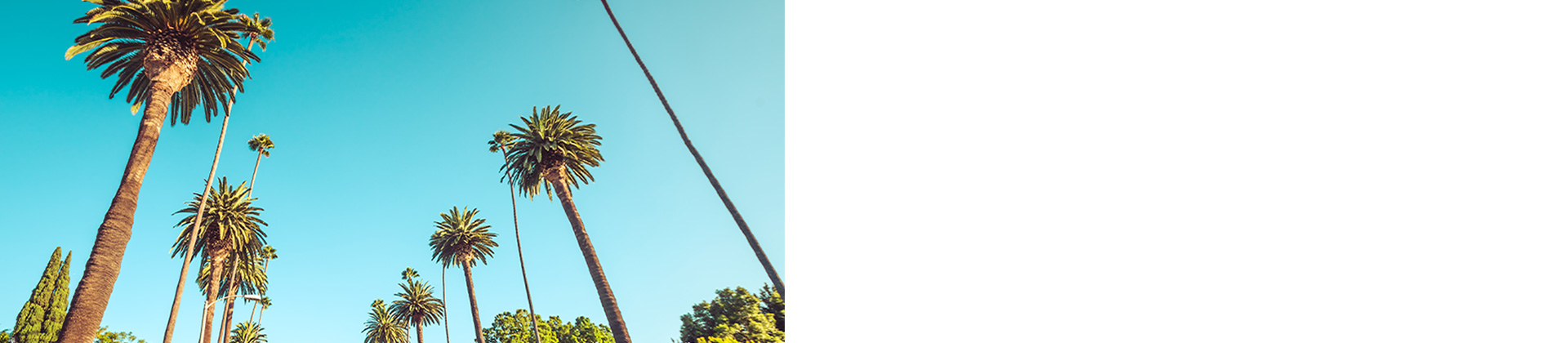 Testimonials | Ryan A. Stanton, MD | Beverly Hills, CA